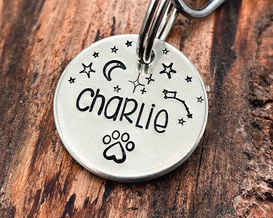Personalized Dog Name Tag, Small Dog Tag, Microchipped Dog Tag, Dog Tag ...