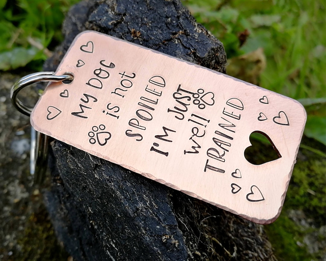 Dog Mom Keychain, Funny Quote Keychain - Etsy