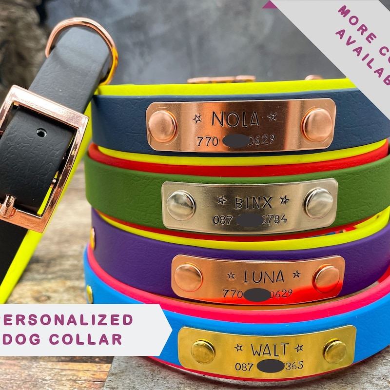 Dog Collar With Name - Etsy