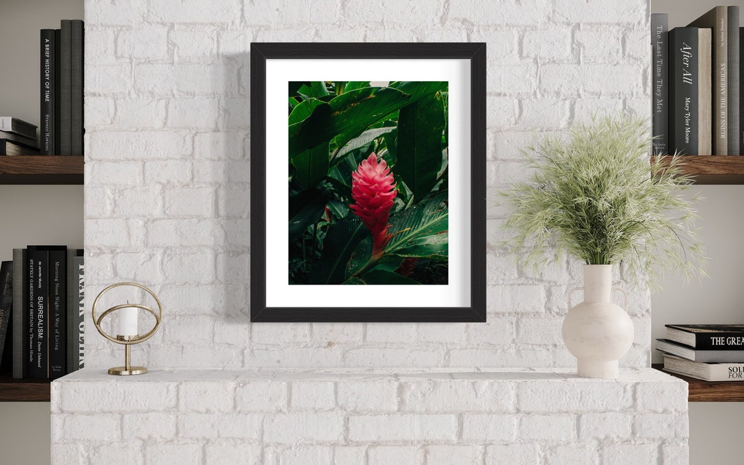 Ginger Flower Print Home Decor. Tropical Rainforest Wall Art. Nature ...