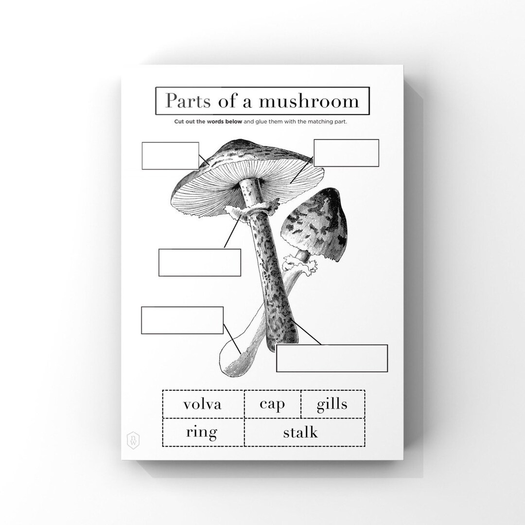 Mushroom Anatomy // Printable Worksheet 1 Page // Instant Download ...