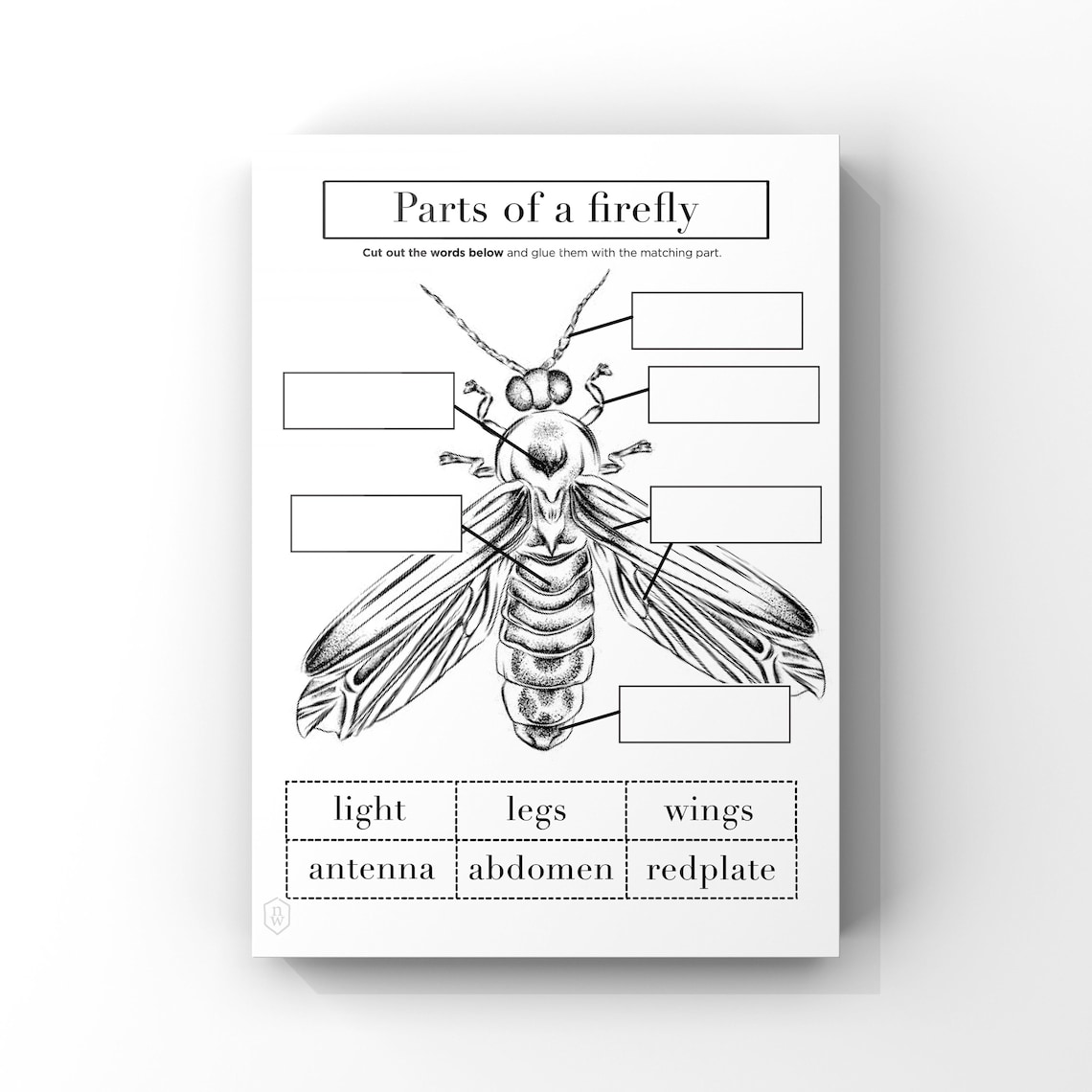 Firefly Anatomy // Printable Worksheet 1 Page // Instant Download ...
