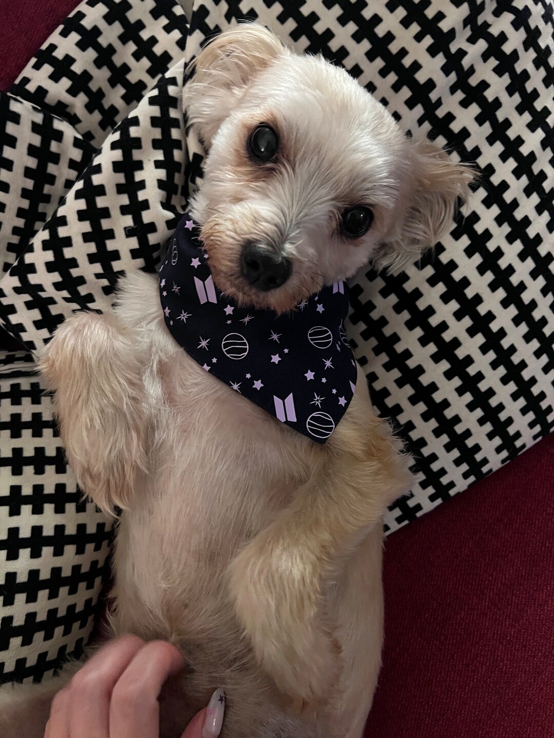 Mikrokosmos Inspired BTS Logo With Planets Pet Bandana, Bangtan Pet ...