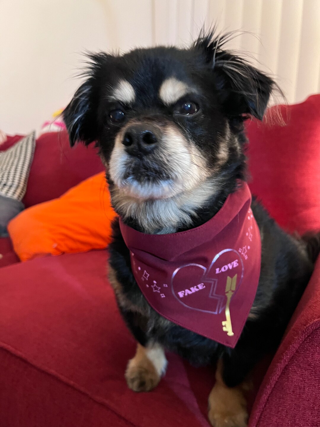 BTS Fake Love Pet Bandana, Fake Love, Bangtan Merch, Bts Merch, Fake ...