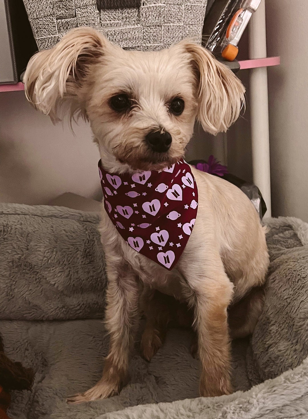 BTS K-pop Heart Logo Pet Bandana, Bangtan Merch, Bts Merch, Fake Love ...