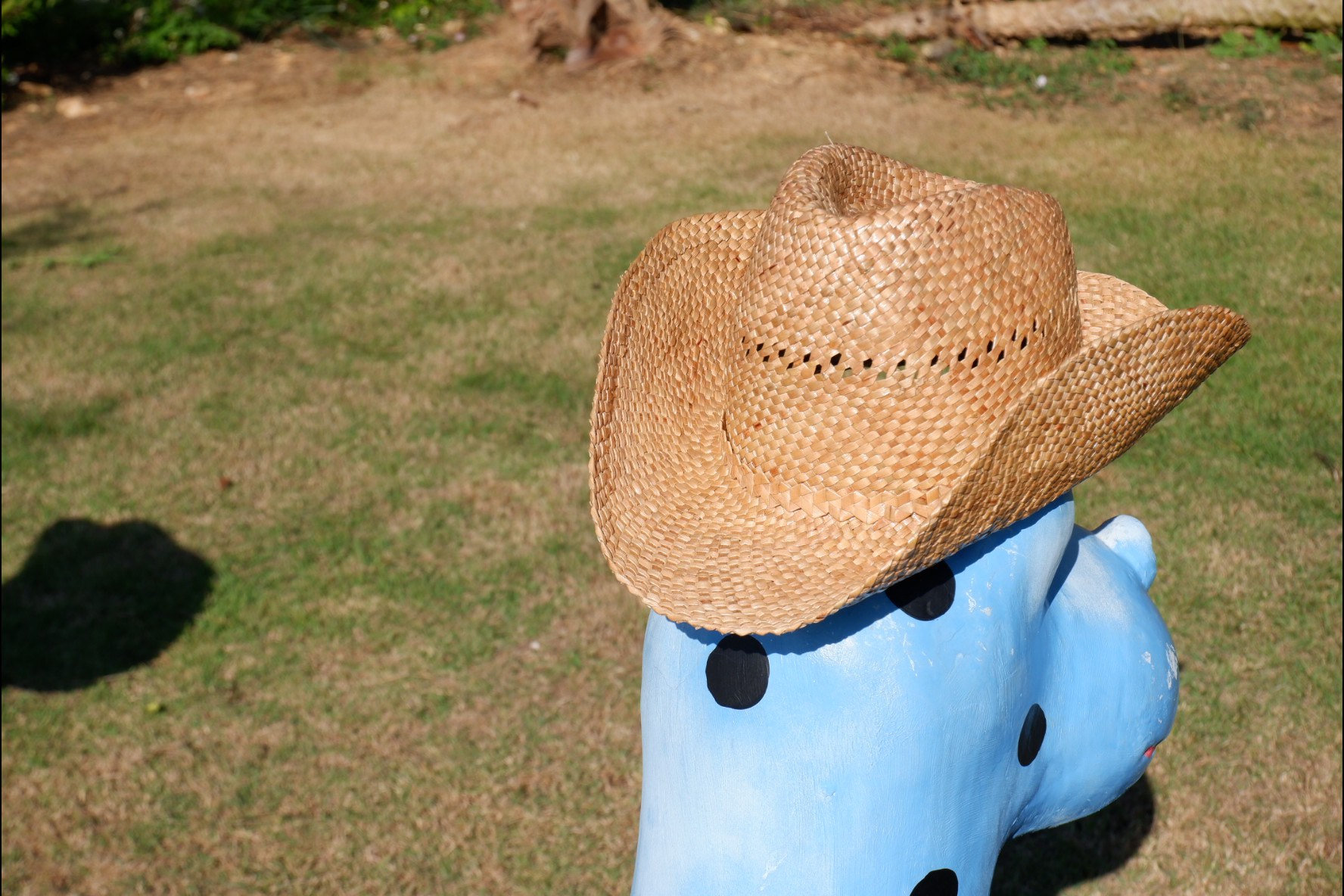Straw Cowboy Hat Beach Pool Party Cowgirl Bachelorette - Etsy