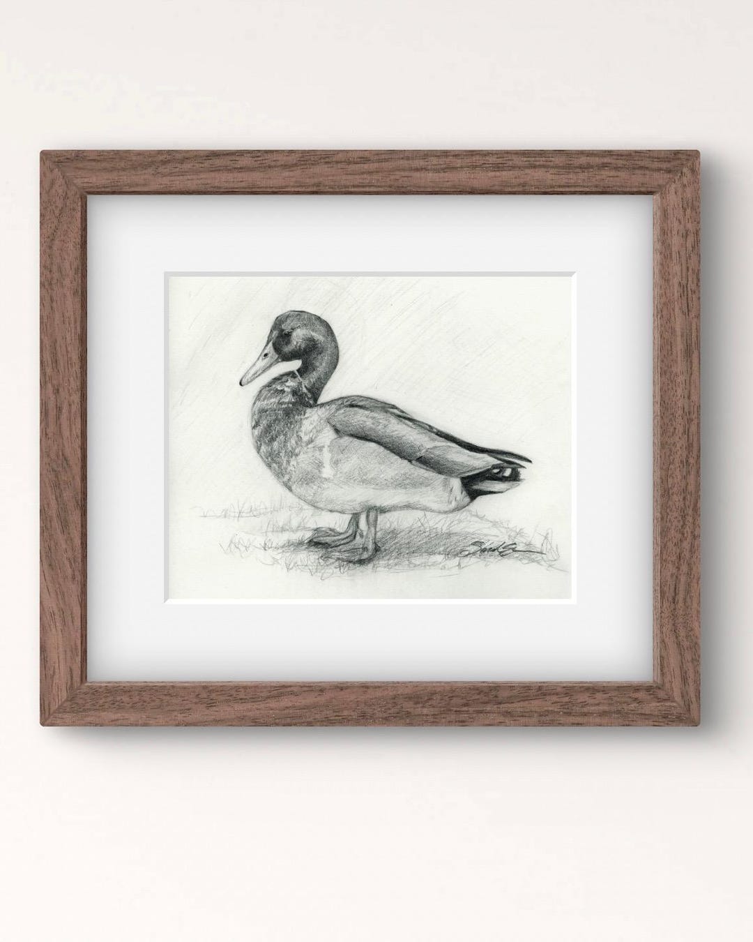 Mallard Duck Graphite Drawing Digital Print – Farmhouse Still Life Art ...