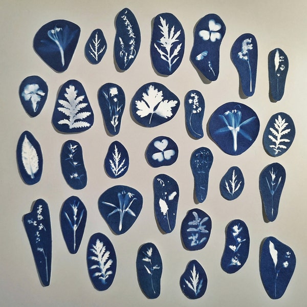Cyanotype Cards - Etsy UK