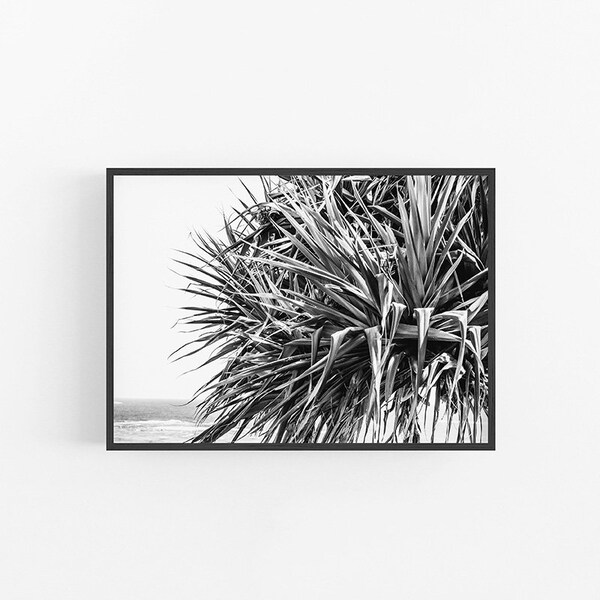 Black and White Palm Print - Etsy Australia