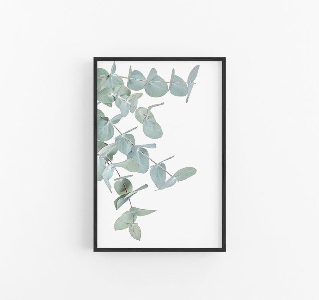 Eucalyptus I Australian Native Eucalyptus Print Gum Leaf - Etsy
