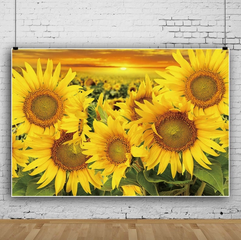 Wedding Backdrop Sun Flower Wedding Wall Flower Photograph - Etsy