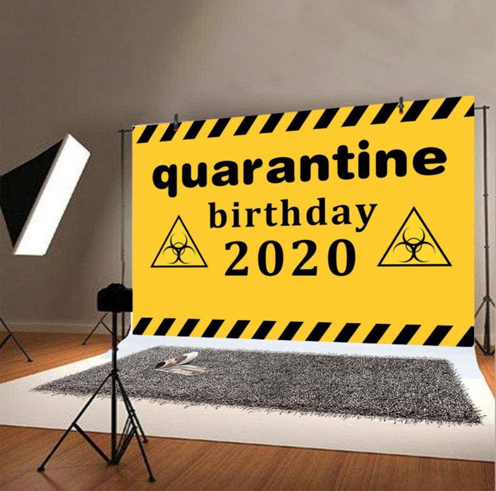 Quarantine Birthday Photograph Backdrop, Background Cloth for ...