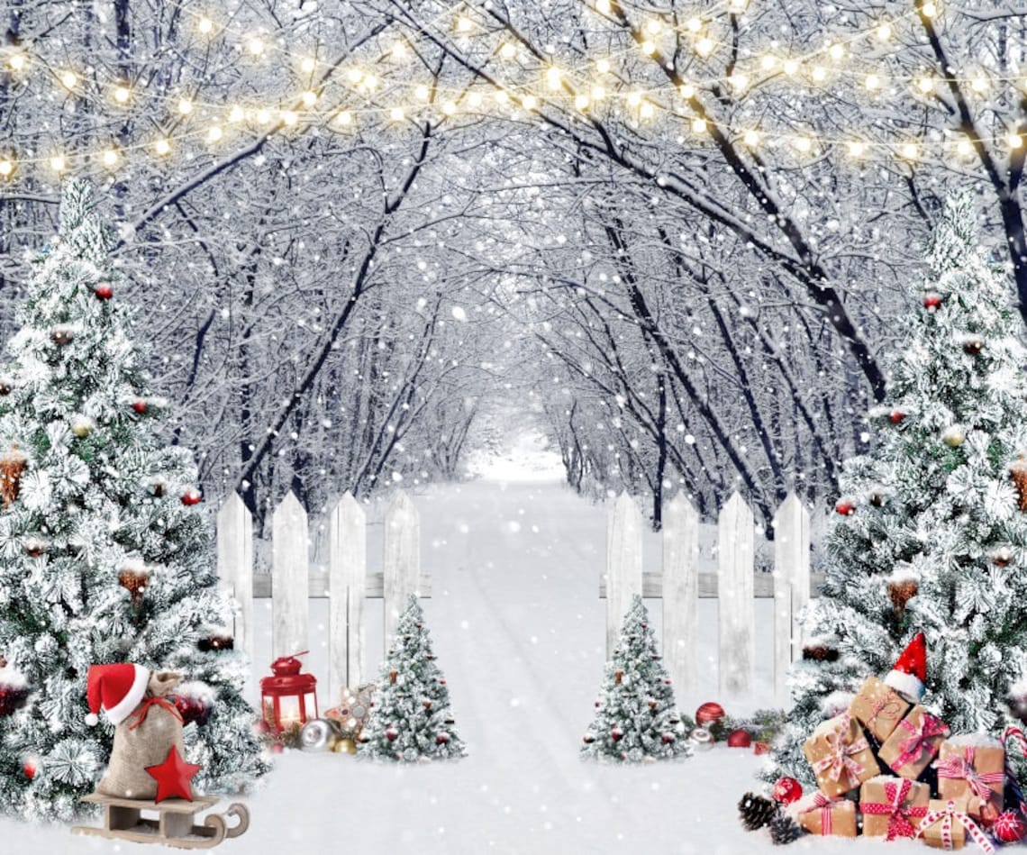 Christmas Gift Snow Scenery Backdrop Xmas Tree Background Photo ...