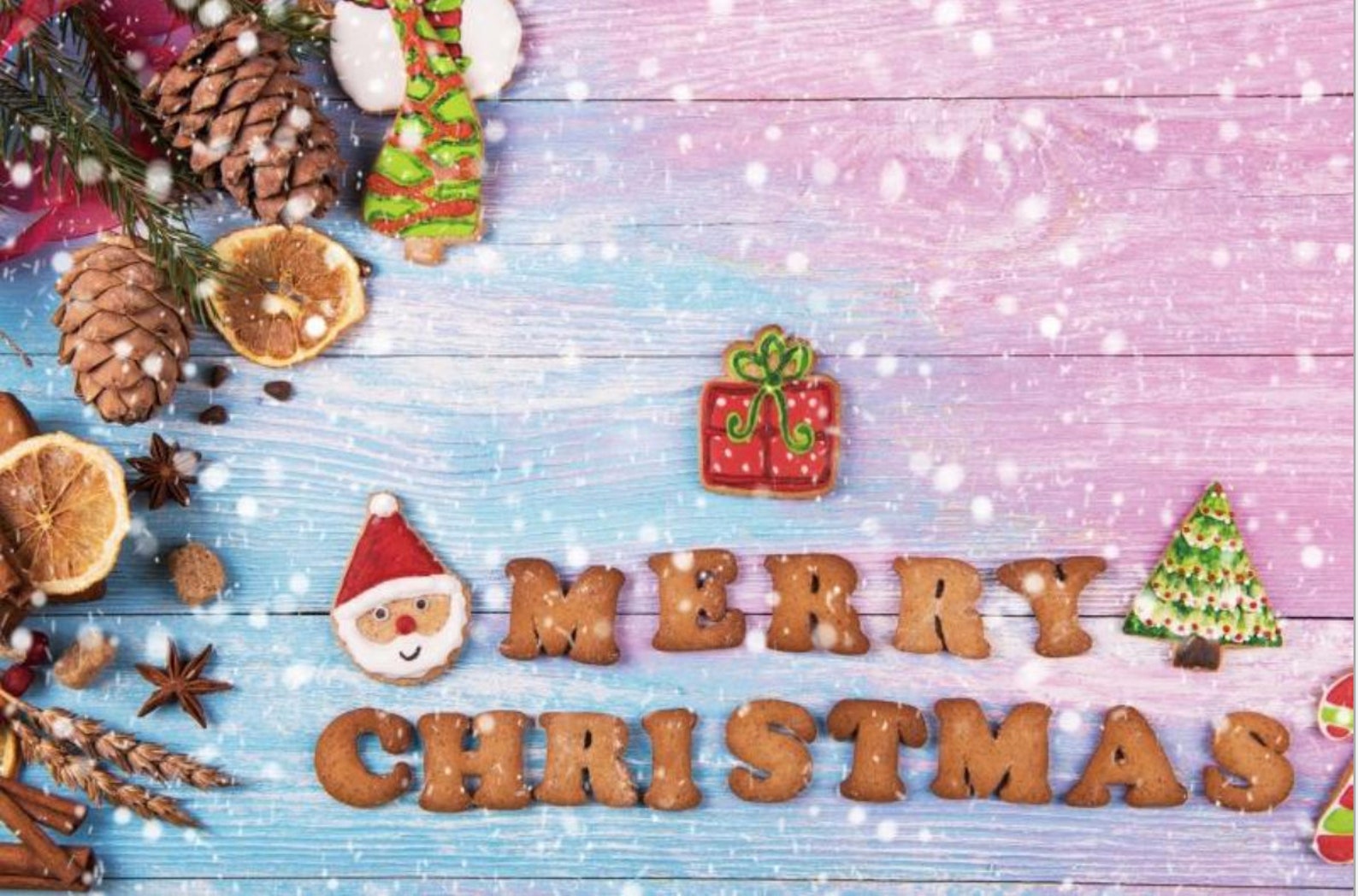 Christmas Backdrop Merry Christmas For Photograph Background Cloth