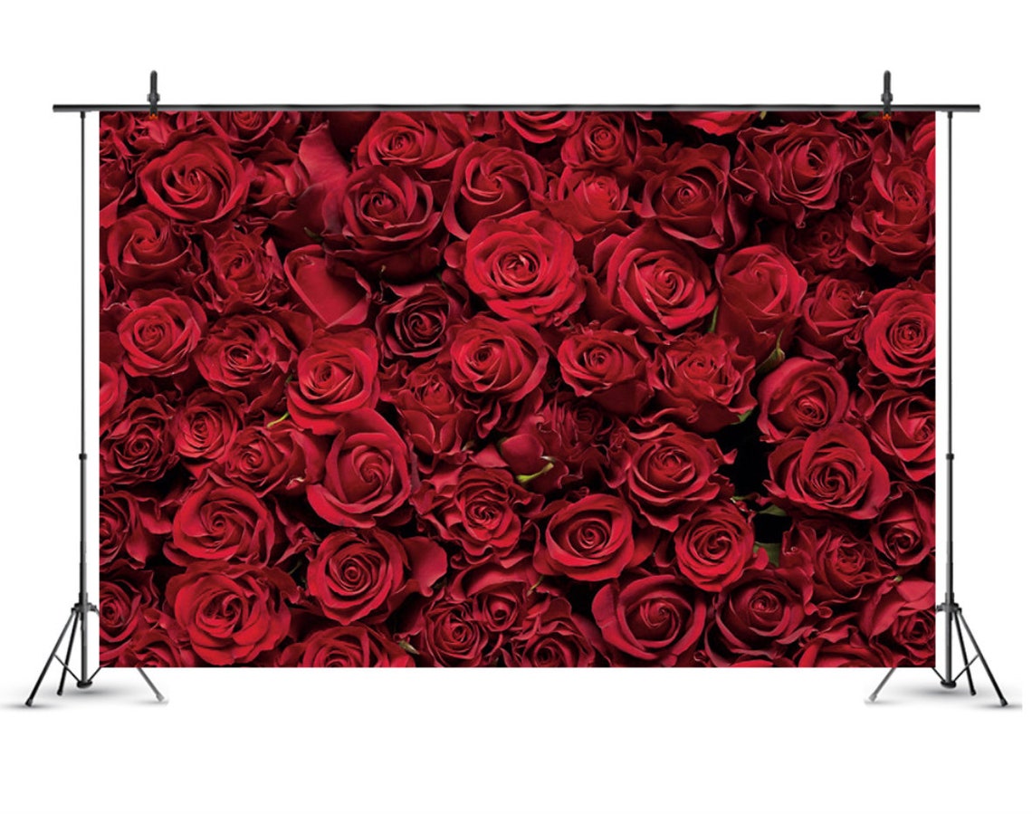 Wedding Backdrop Wedding Red Rose Wall Rose Photograph - Etsy