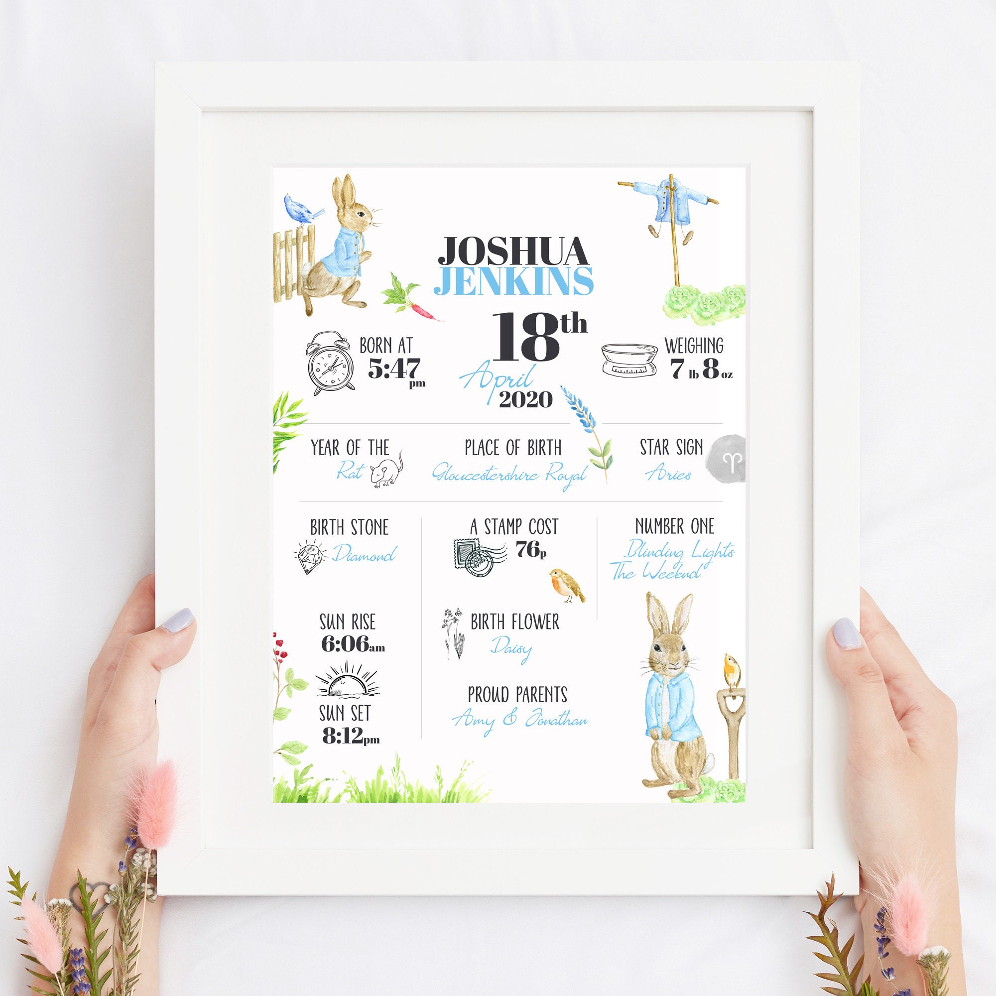 Peter Rabbit Birth Announcement Birth Poster Nursery Decor - Etsy