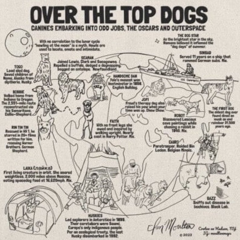 Accomplished Canines Tote Bag: a Dozen Dogs of Distinction - Etsy