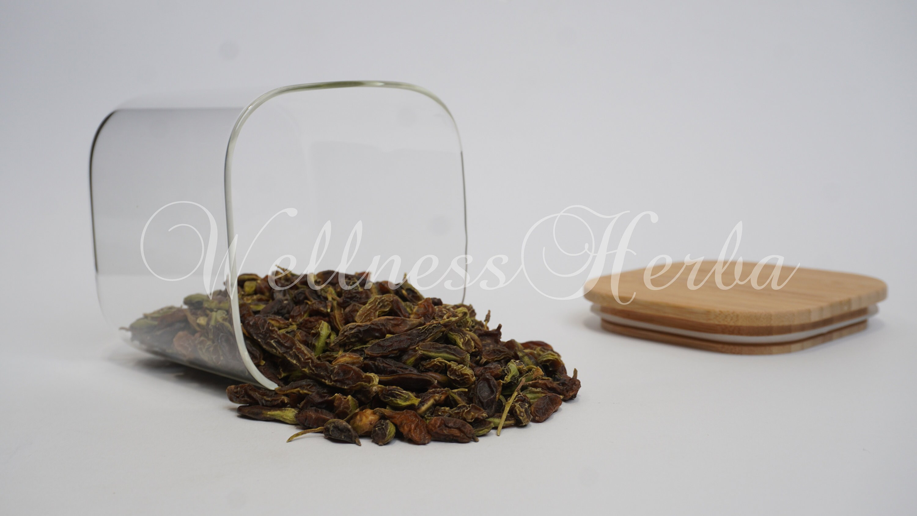 Japanese Pagoda Tree Flowers | Sophora Japonica | Pagoda Tree Buds ...