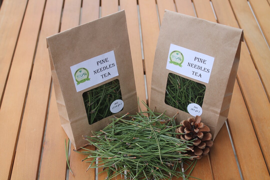 Premium Quality White Pine Needle Tea - Dried/fresh Organic Pine ...