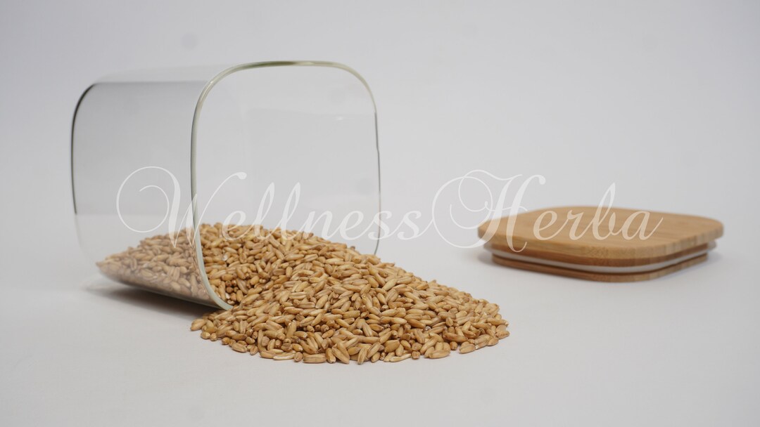 Organic Oat Groats | Weight and Energy Booster and Tasty Treat / Guinea ...