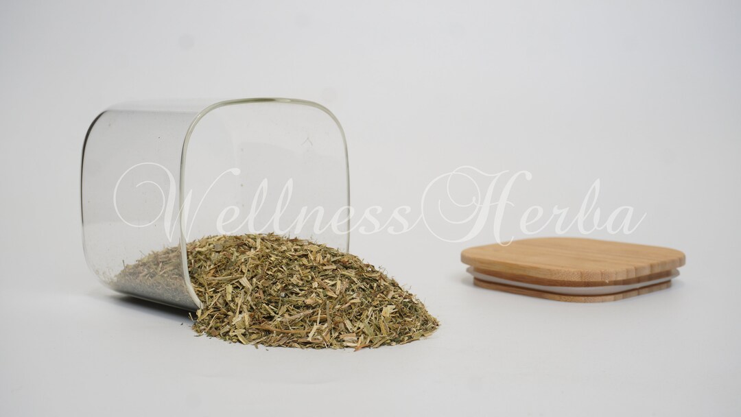 Premium Quality Dwarf Nettle Leaf | Tea | Urtica Urens| Wildcrafted ...