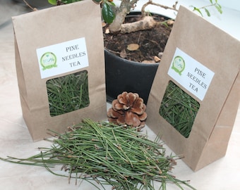 Organic Fresh White Pine Needle Tea Wildcrafted Mountain - Etsy