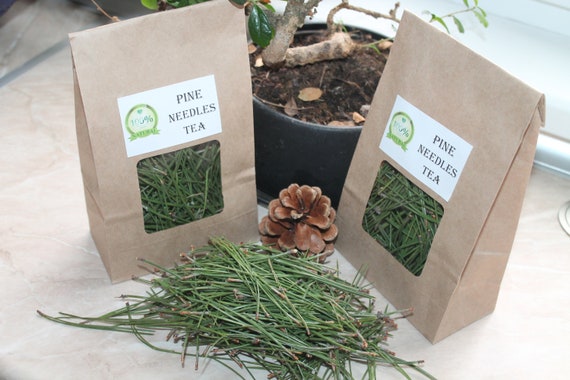 Organic Fresh White Pine Needle Tea Wildcrafted Mountain - Etsy