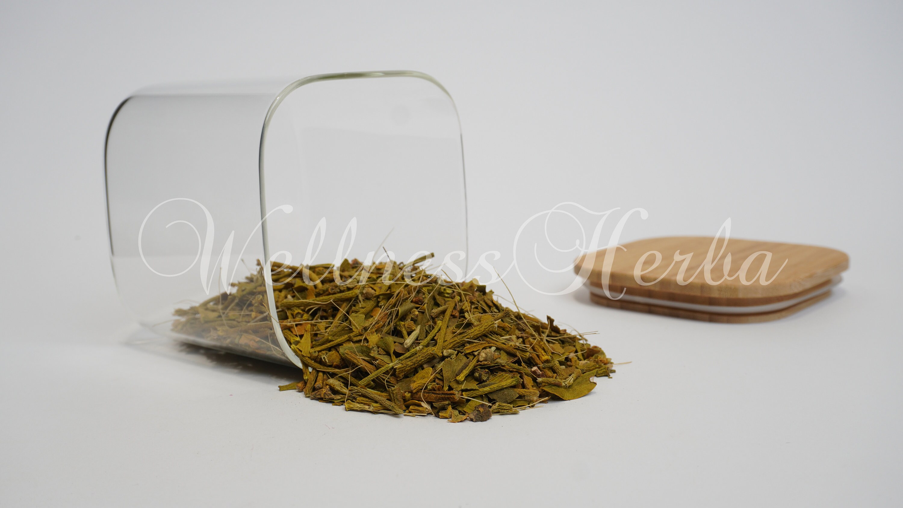 Mistletoe Herb Mistletoe Tea Viscum Album - Etsy