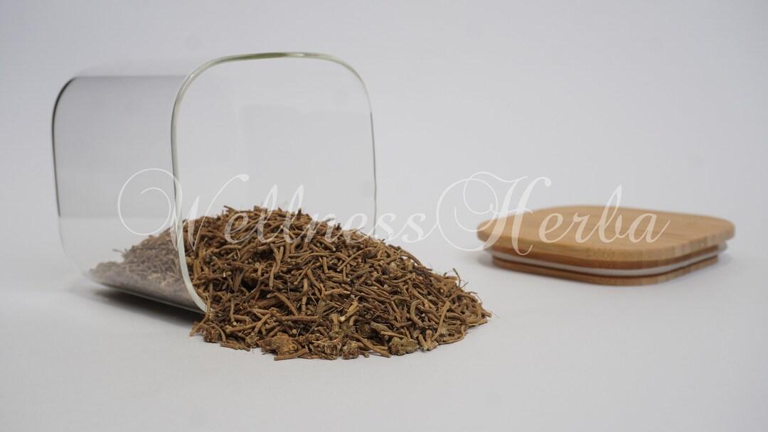 Premium Quality Wood Betony Root | Stachys Officinalis | Wild-crafted ...