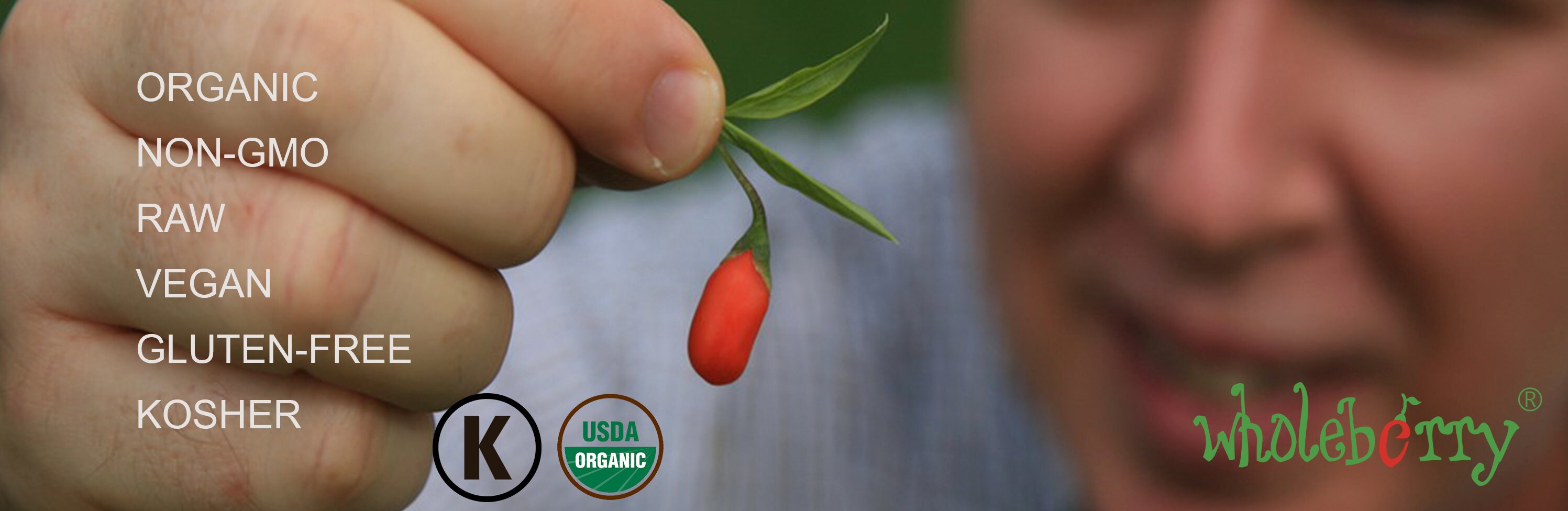 Wholeberry Organic Wolfberry Gouqi Goji Berries 16oz（1 Lb）raw, Vegan ...