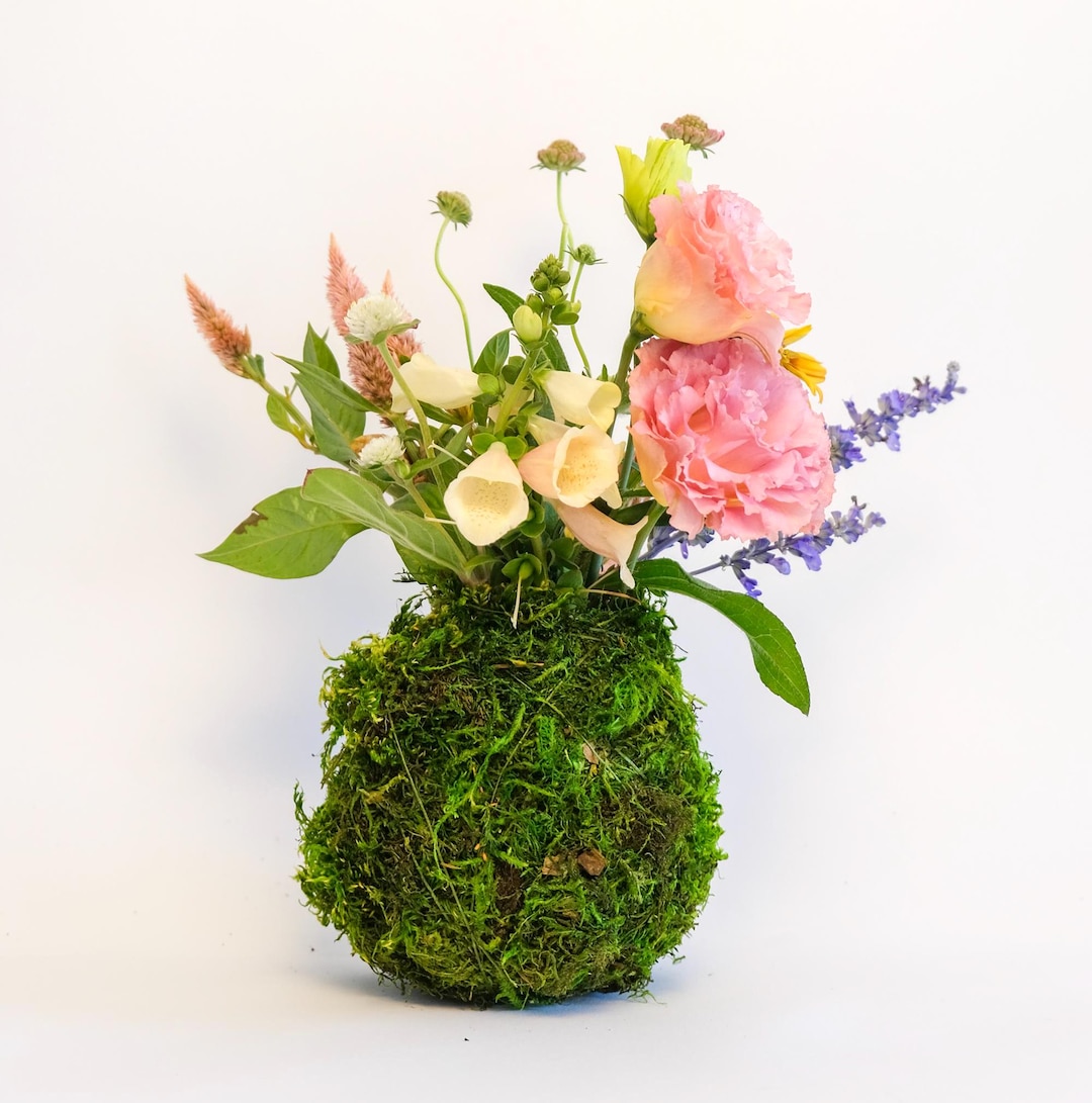Kokedama Vase - Etsy