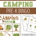 10 Camping BINGO for Preschool Kindergarten, Camping Games and ...