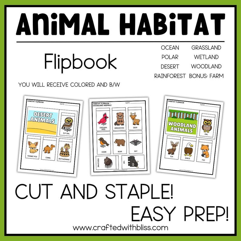Animal Habitat Kindergarten Mini Bundle - Etsy