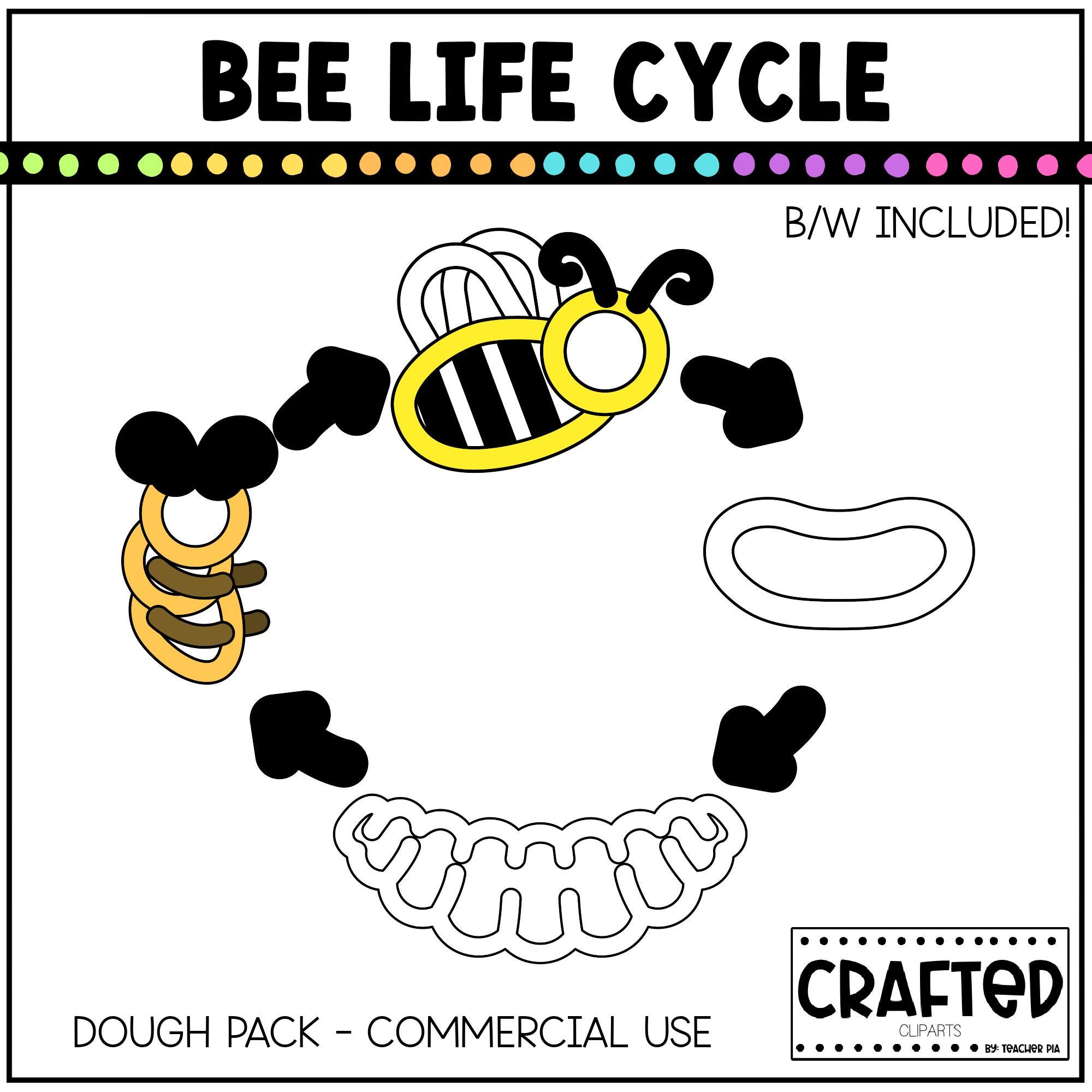 Simple Life Cycle Clipart Playdough Pack Science MEGA Bundle - Etsy ...