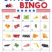 50 States Bingo Cards Classroom Game, Bingo Game, Party Game, Work ...