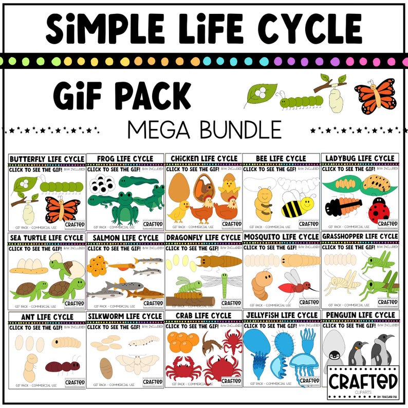 Simple Life Cycle Clipart GIF Pack Science MEGA Bundle - Etsy