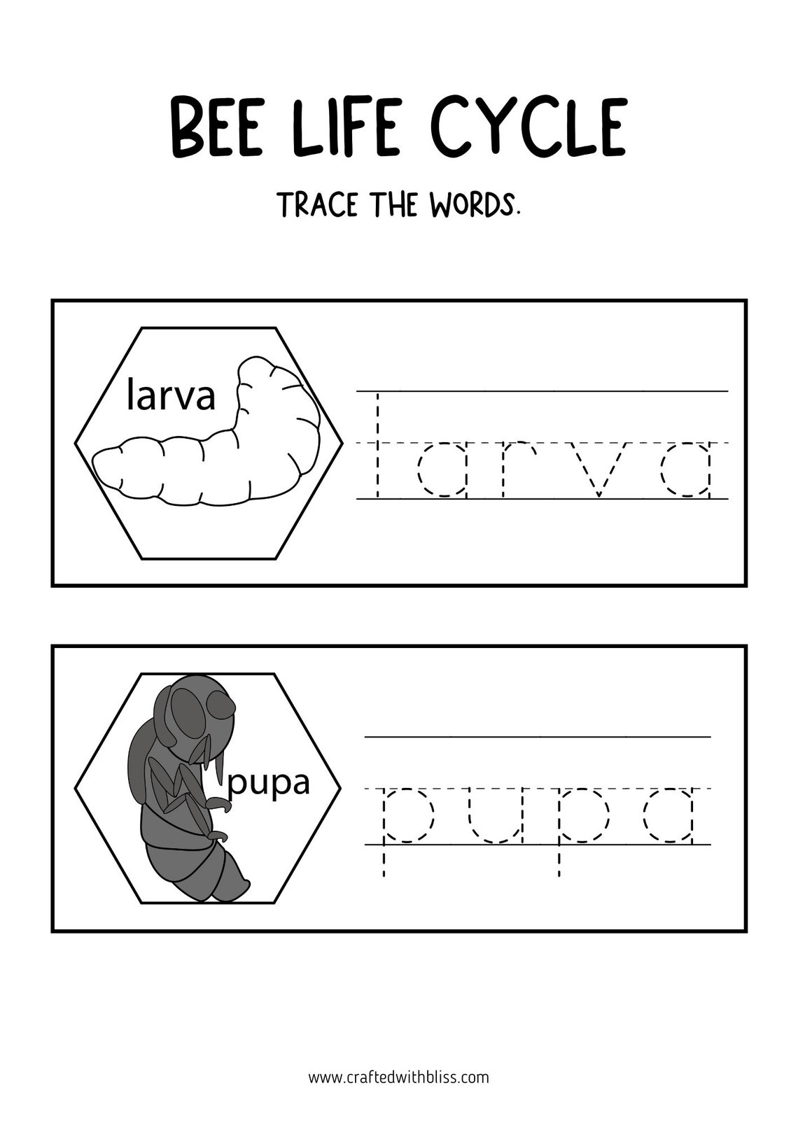 Bee Activity Pack Bee Printable for Pre-k Science Preschool - Etsy