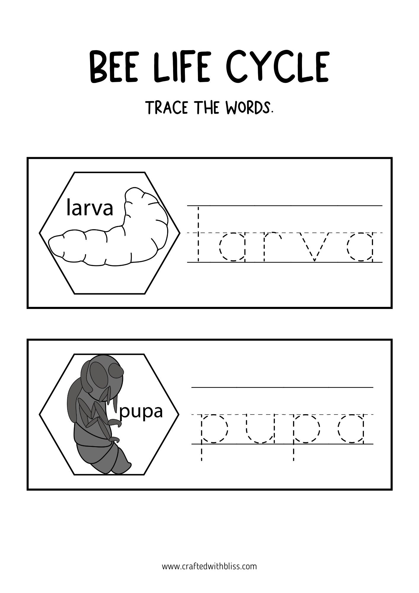 Bee Activity Pack Bee Printable for Pre-k Science Preschool - Etsy