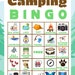 30 Camping Bingo Birthday Party Camping Classroom Bingo Game - Etsy