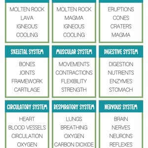 Elementary Science Taboo Game 100 Cards Classroom Ice Breaker - Etsy