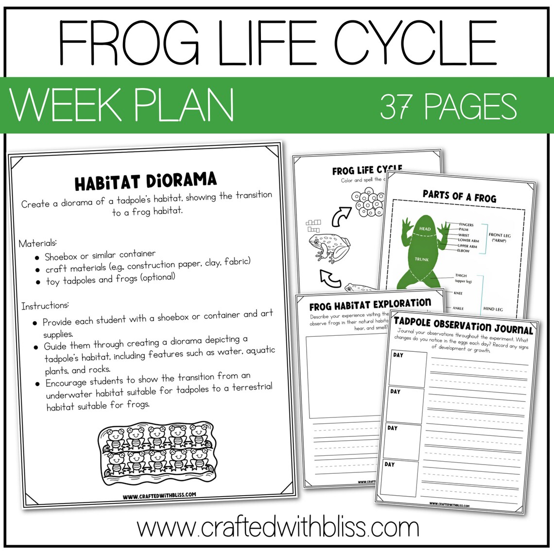 Frog Life Cycle Week Unit Plan Science K-2 Craft Worksheet STEM - Etsy