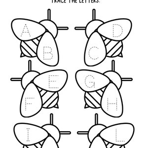 Bee Activity Pack, Bee Printable for Pre-k, Science Preschool ...