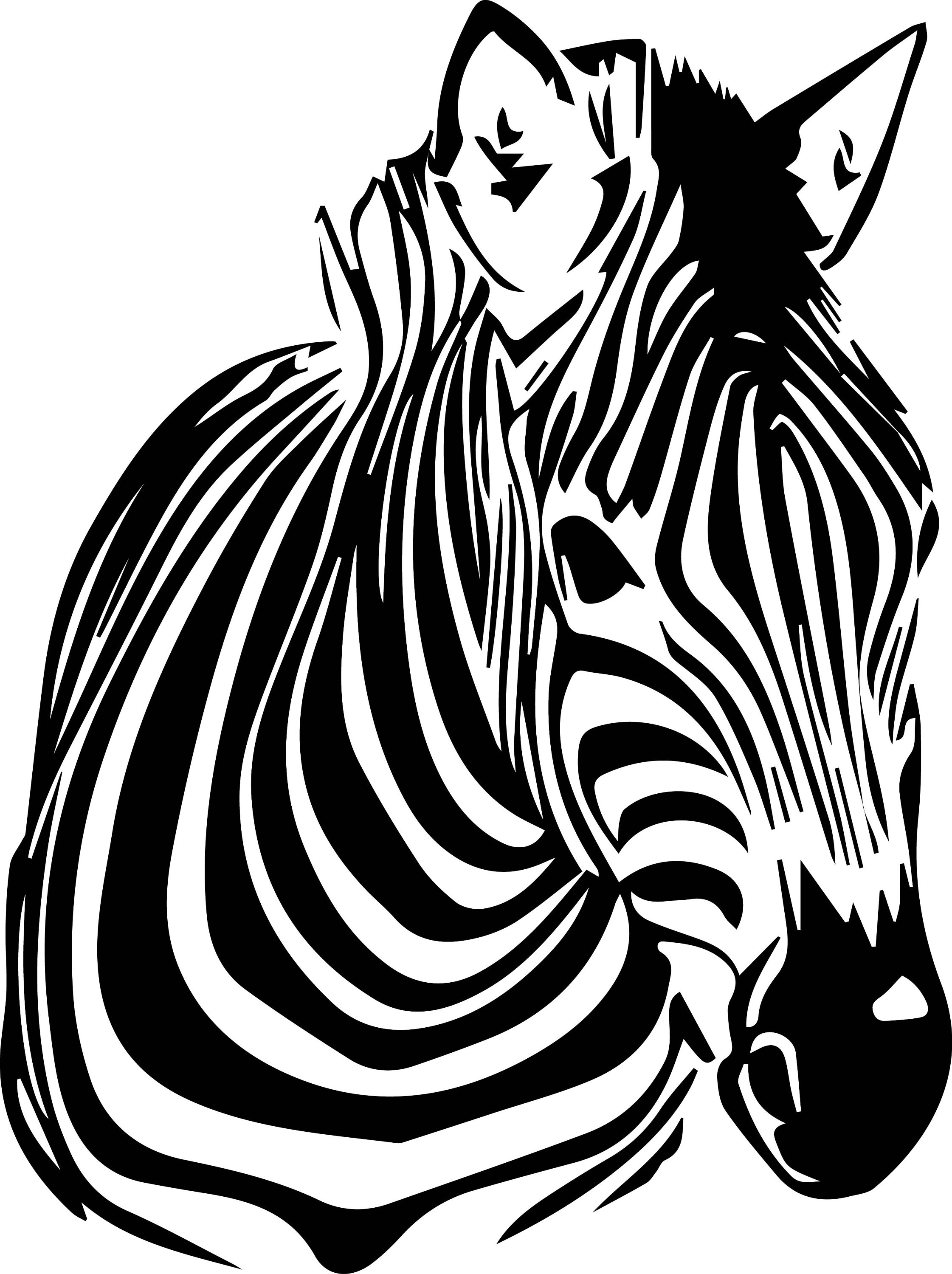 Zebra svg animal svg africa svg safari svg zoo animal svg | Etsy