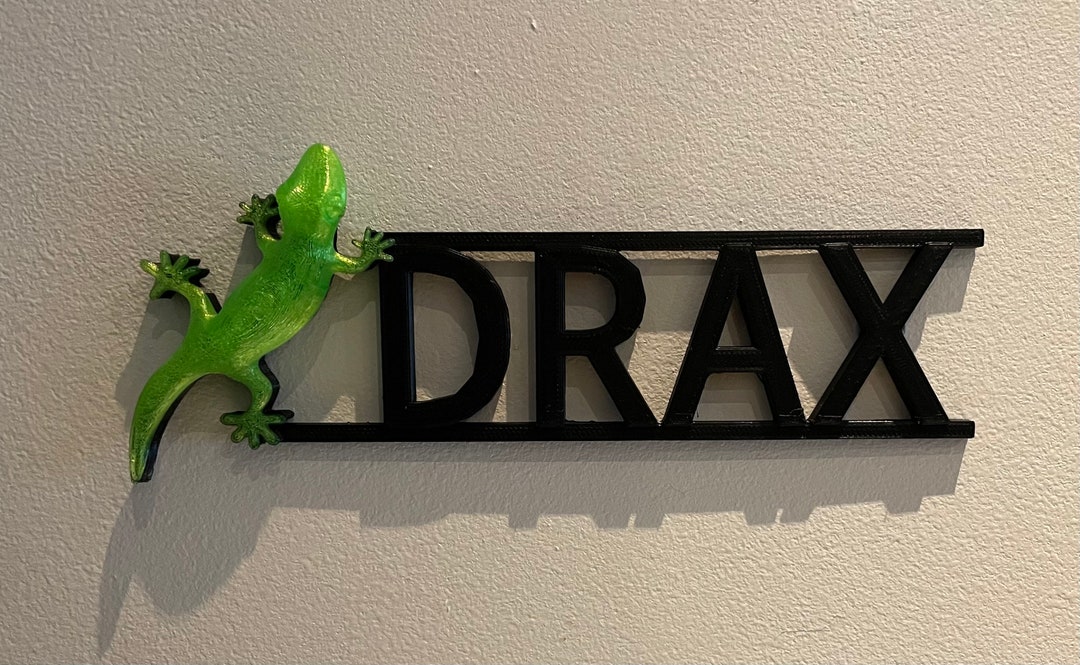 Lizard Name Plate - Chose From 15 Colours - Single-piece 2-colour Print ...