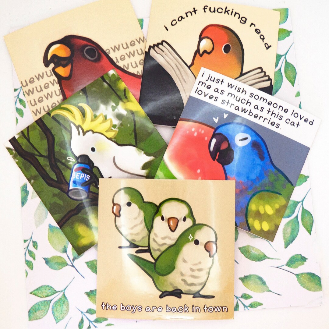 Set of 5 Birb Meme Vinyl Stickers Birb Meme Sticker - Etsy