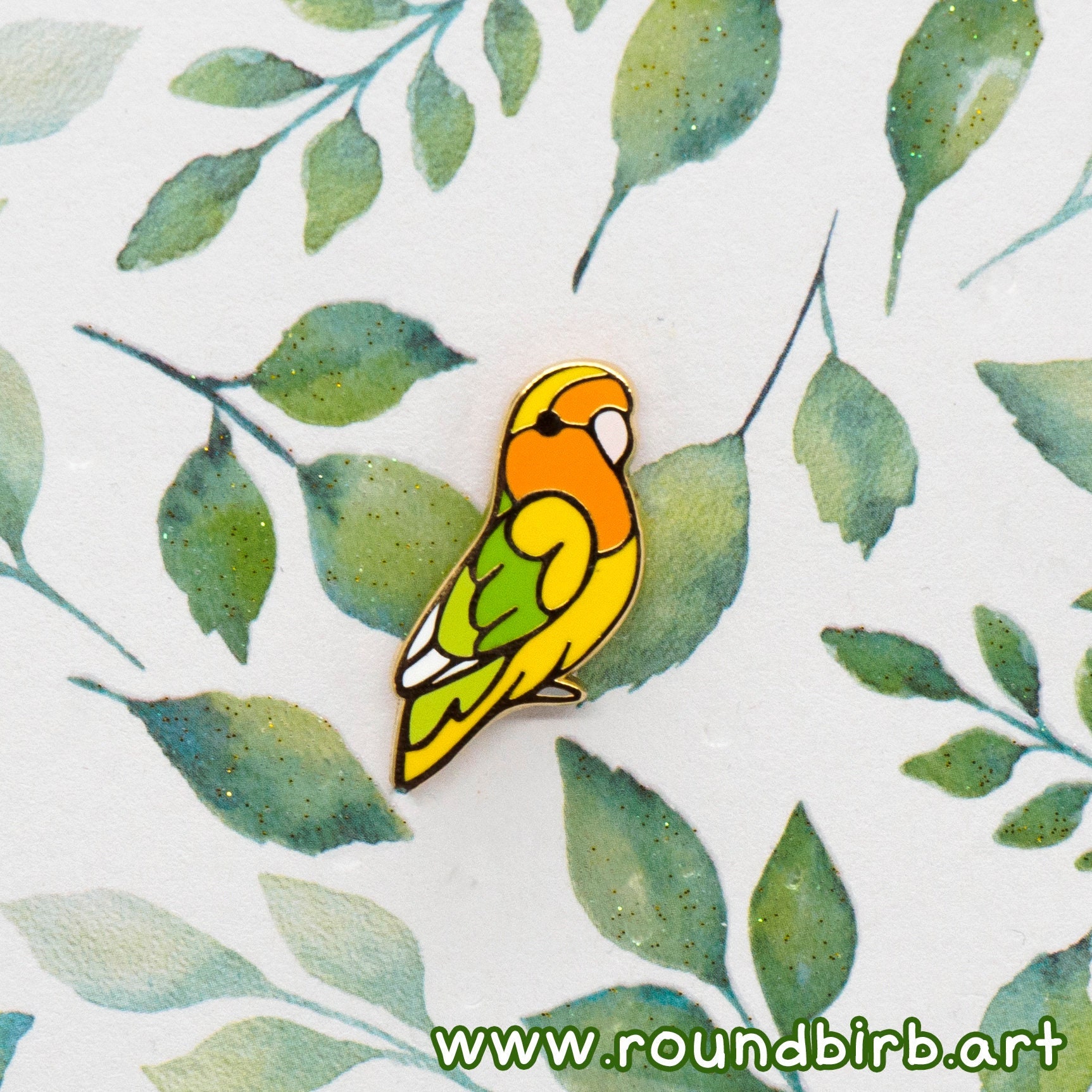Pied Peach Faced Lovebird