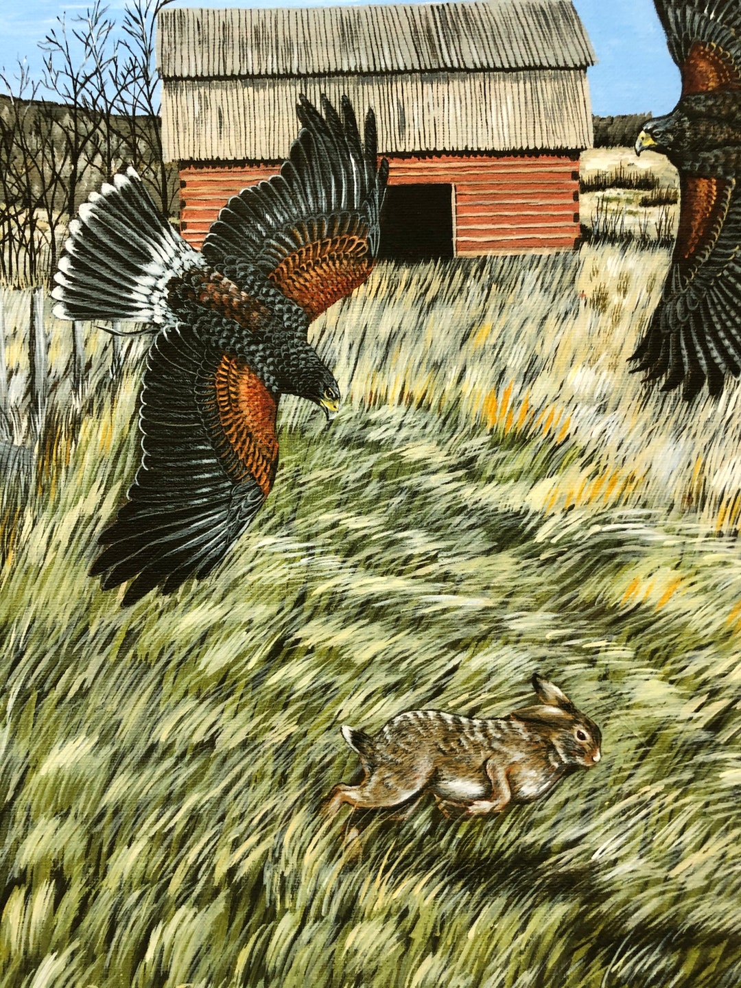 Art print, falconry art, falconry decor, rabbit hunting art print, hawk ...
