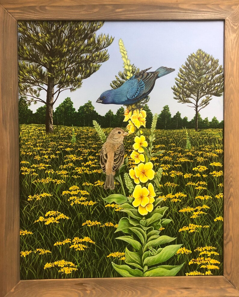 Indigo Buntings - Etsy