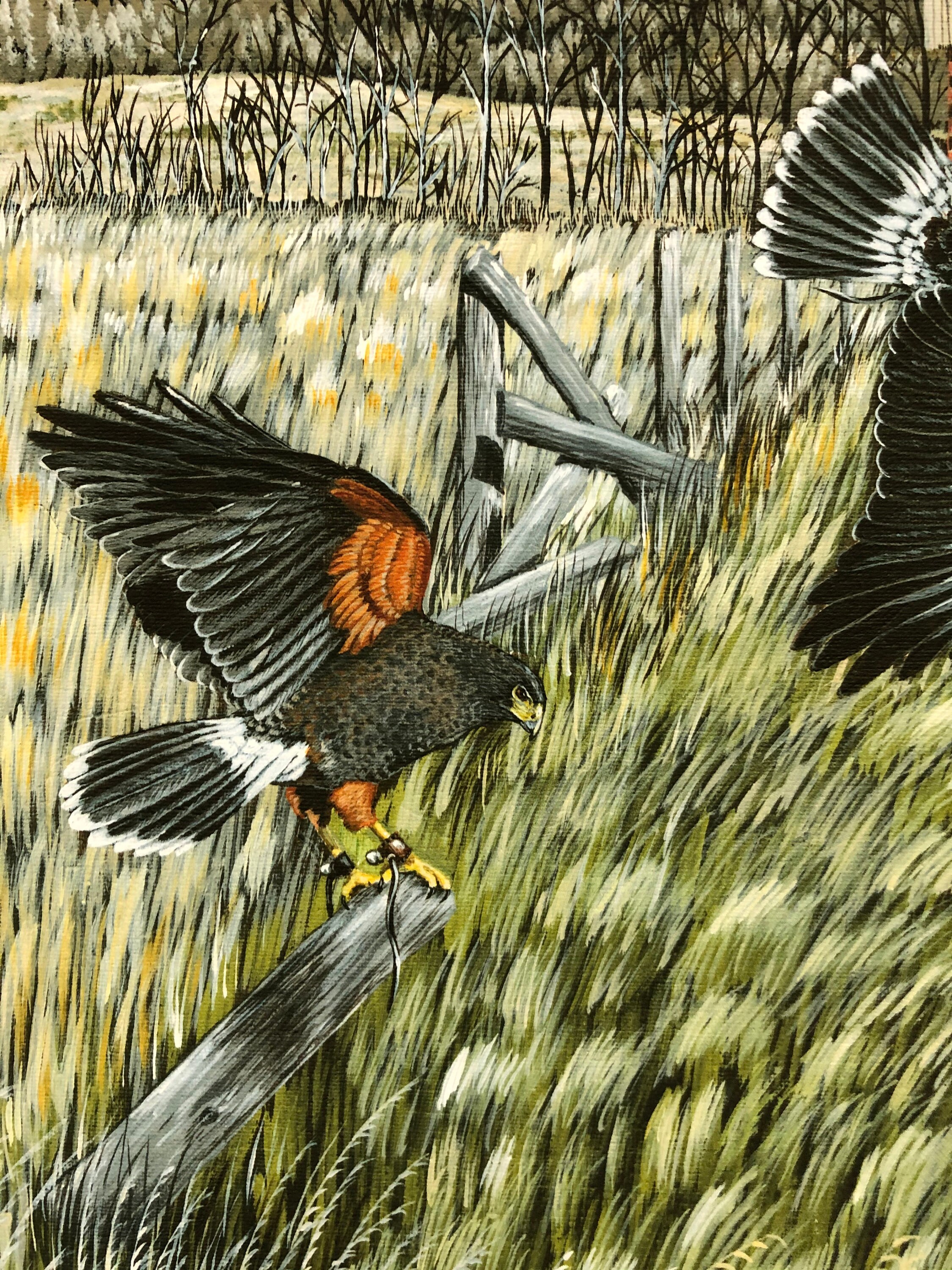 Art print, falconry art, falconry decor, rabbit hunting art print, hawk ...