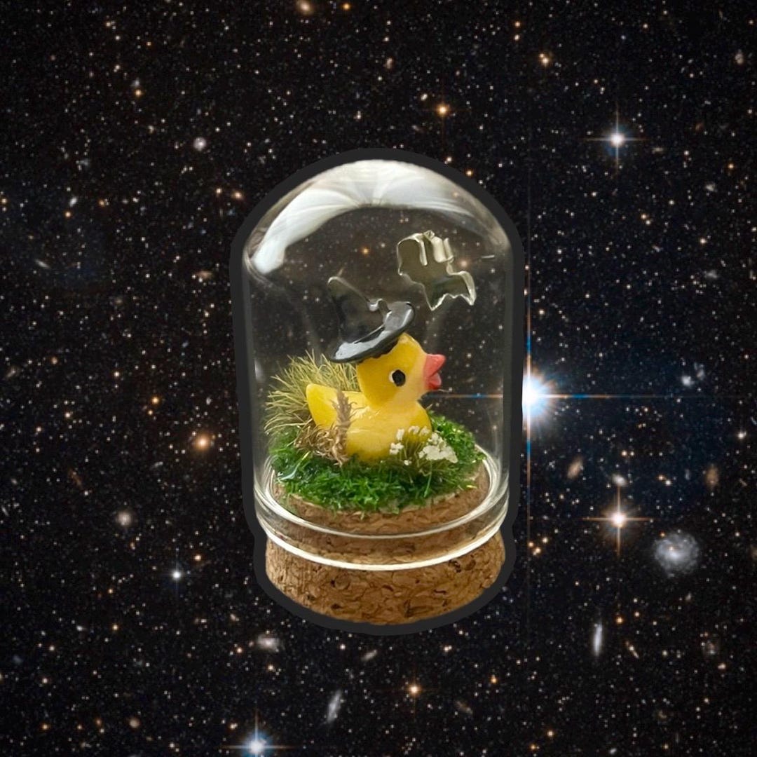 Quacks-idermy Witch Duck Dome - Etsy